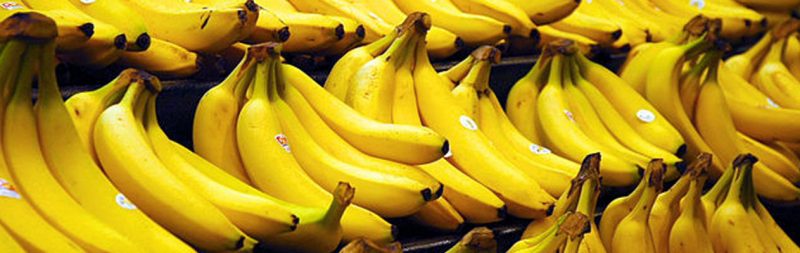 The journey of bananas: Crossing the great ‘food desert’ | Institute ...